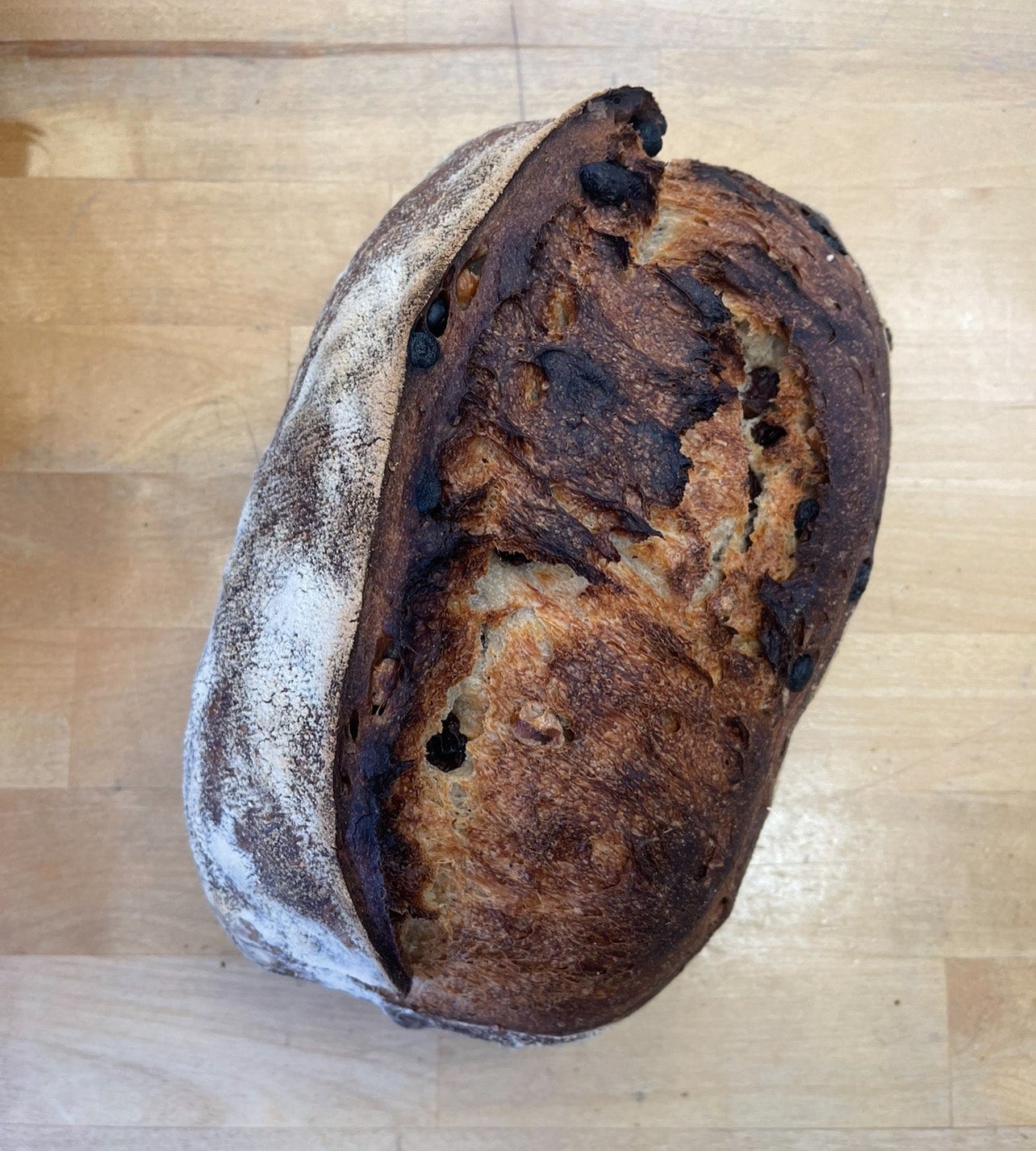 Raisin Walnut (Farmers Market Preorder) | Brandywine Valley Bread