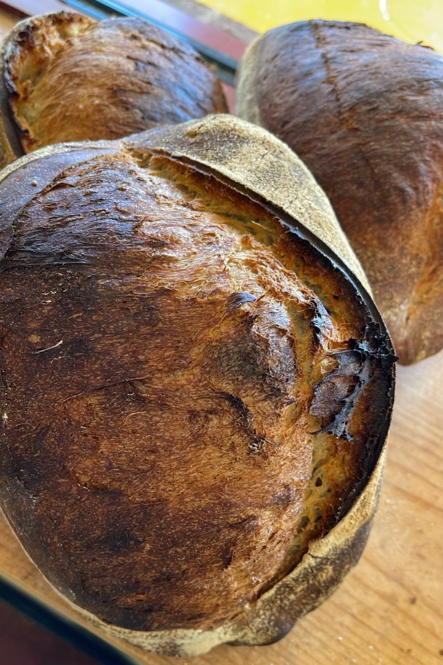 Levain (Farmers Market Preorder) | Brandywine Valley Bread